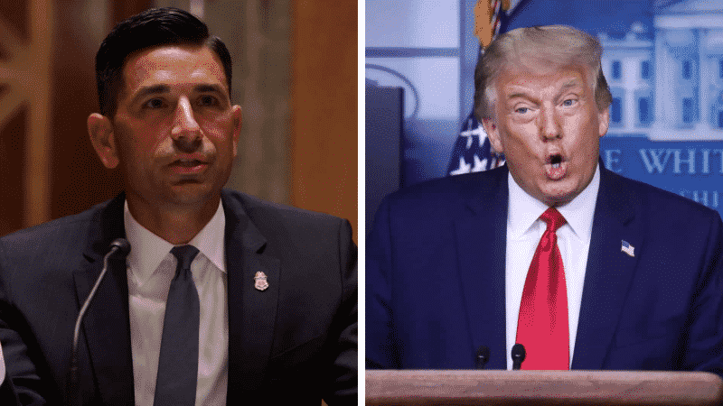Former Acting Homeland Security Secretary Chad Wolf Says Trump Bears ...