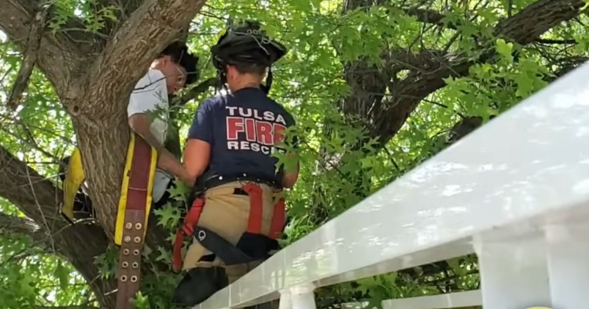 Tulsa Fire Department Comes to the Rescue After Both Cat and Owner Get ...