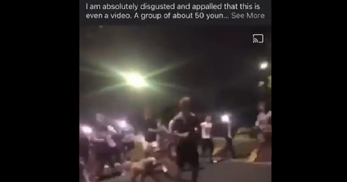 Off-Duty Firefighter Jumped by Mob Who Tell Him It's 'Fight Night ...