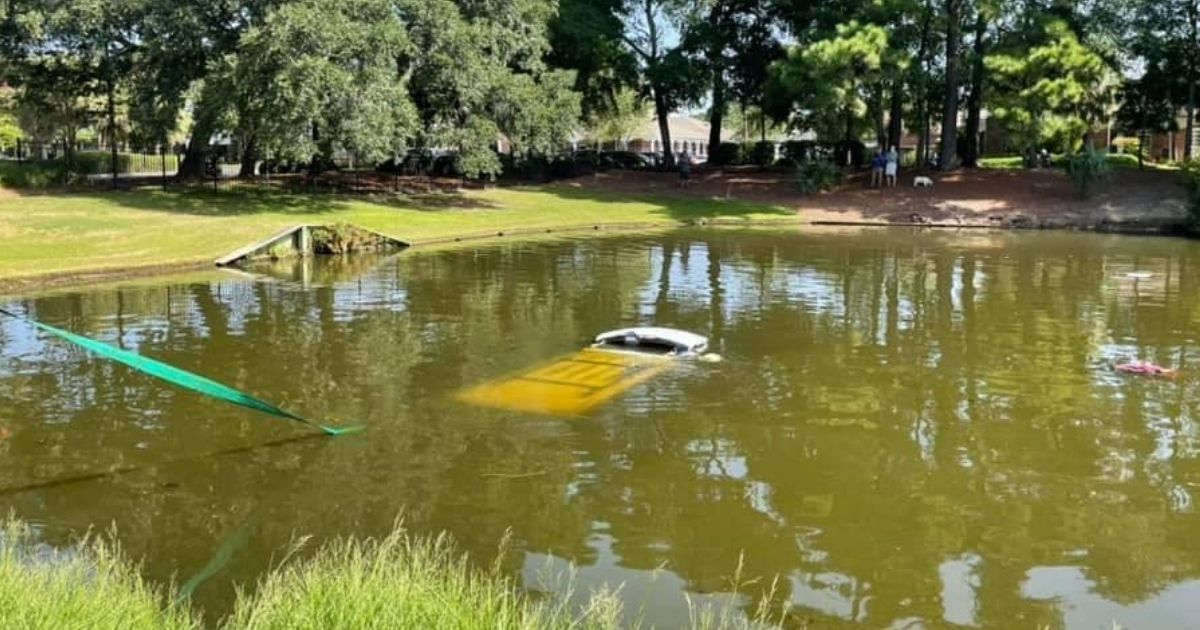 After Car Flies Off Road Into Pond, Trooper Jumps In to Save Man and ...