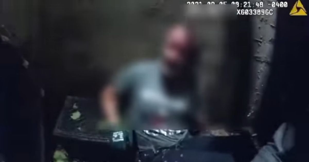 Amazing Rescue Caught on Camera: Man Survives Incredible 25-Foot Plunge ...