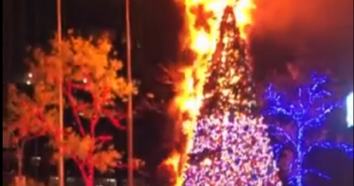 Arrest Made After Fox News’ 50-Foot Christmas Tree Is Set Ablaze in NYC ...
