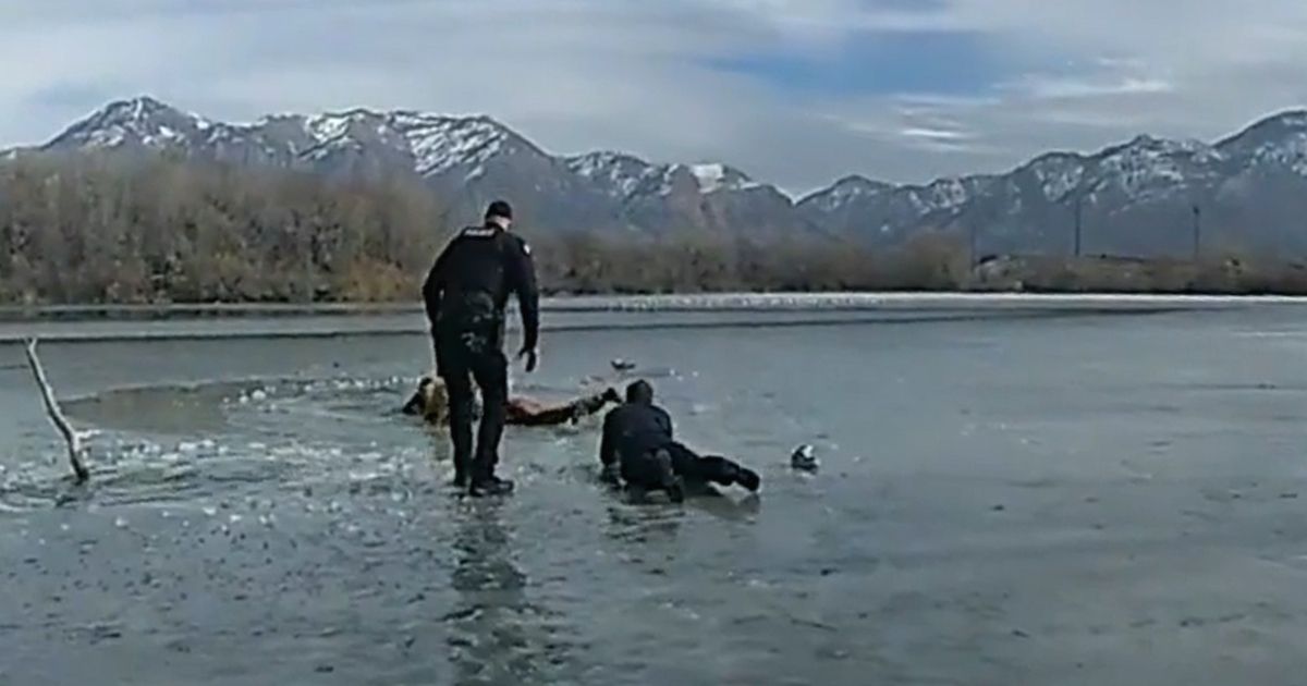 Utah Police Fall Through Ice After Rescuing Autistic Teen from Pond ...