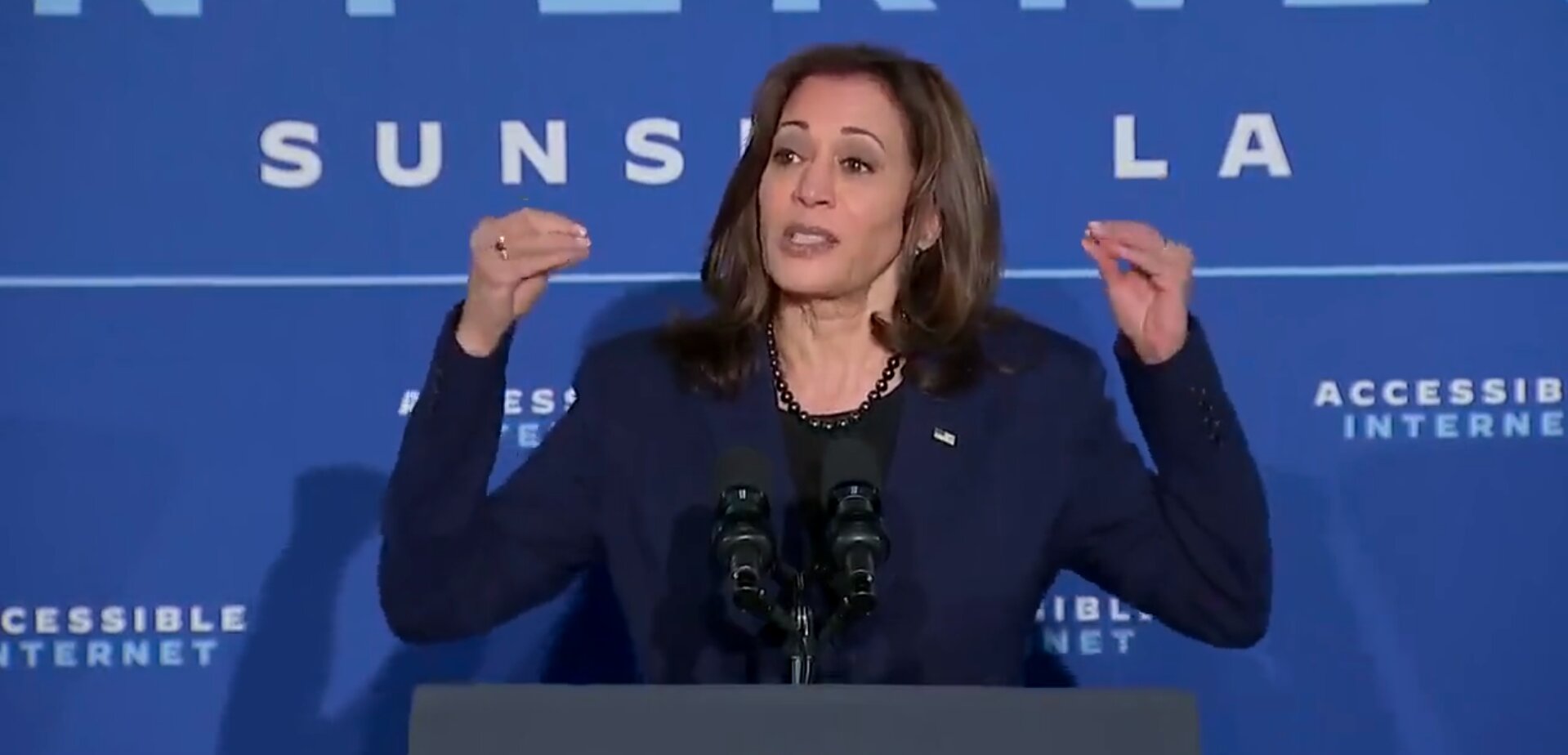 Harris Roasted for Rambling About the ‘Significance of the Passage of ...