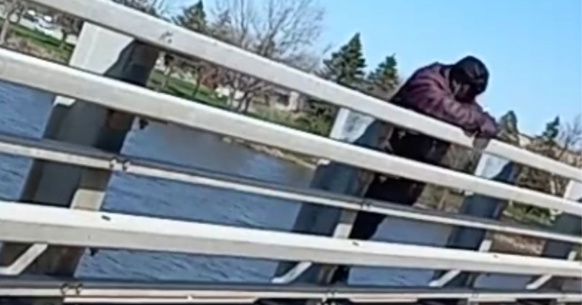 Locals Work Together to Save Suicidal Woman: Officer Dives to Grab Her ...
