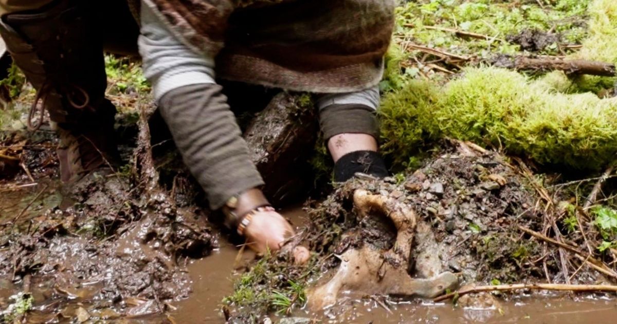 World-Famous Wildlife YouTuber Risks It All with Claim of Large Primate ...