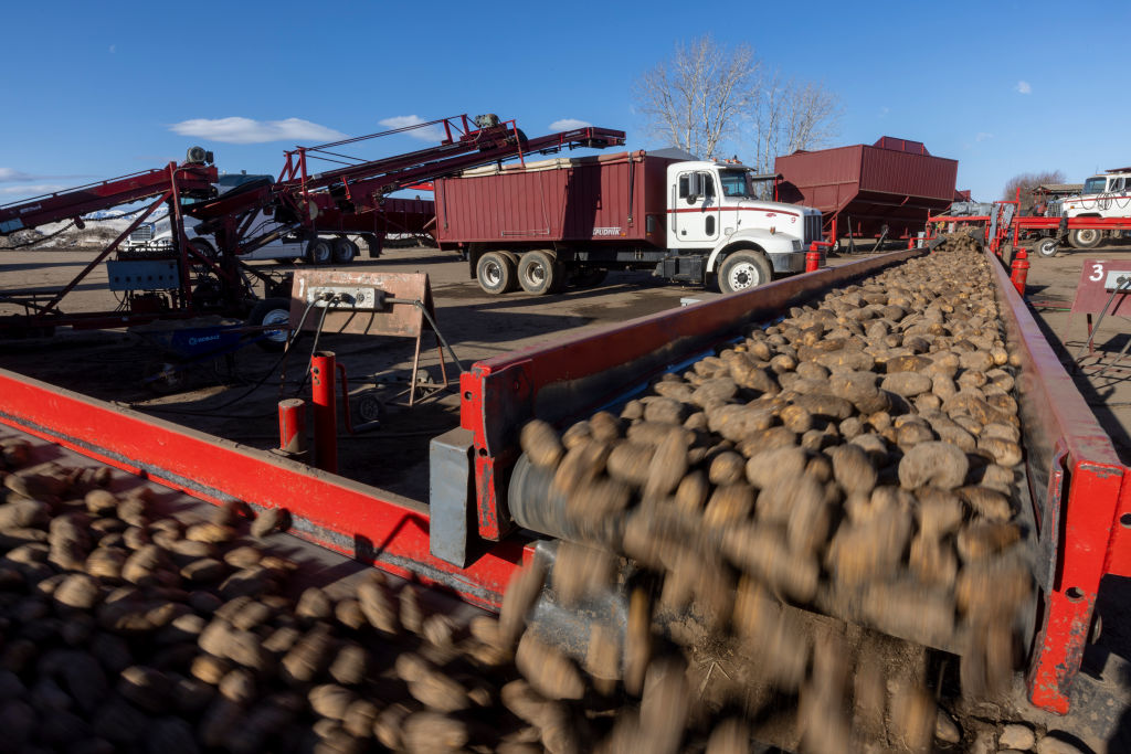 Potato Shortage Rocks US, Idaho Spud Farmers Know What They Need to Do ...