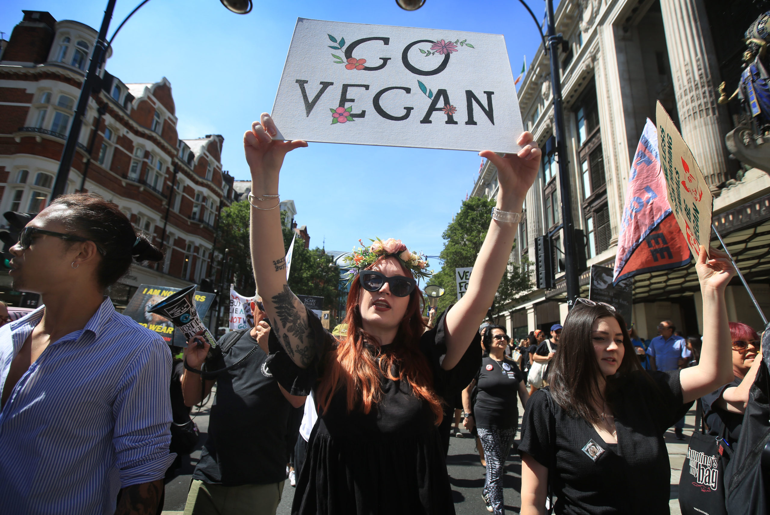 Watch Out for Your Bones, Study Exposes Consequences of Going Vegan ...