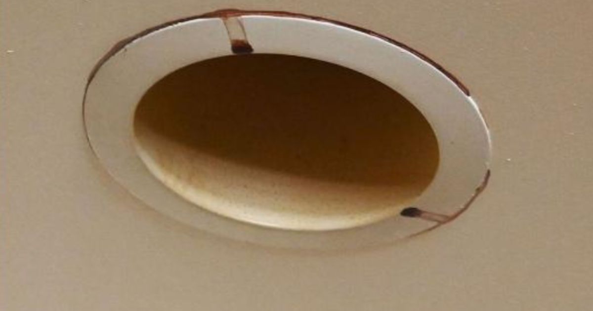 Woman Horrified After Learning the Reason Behind Blood Dripping Down ...