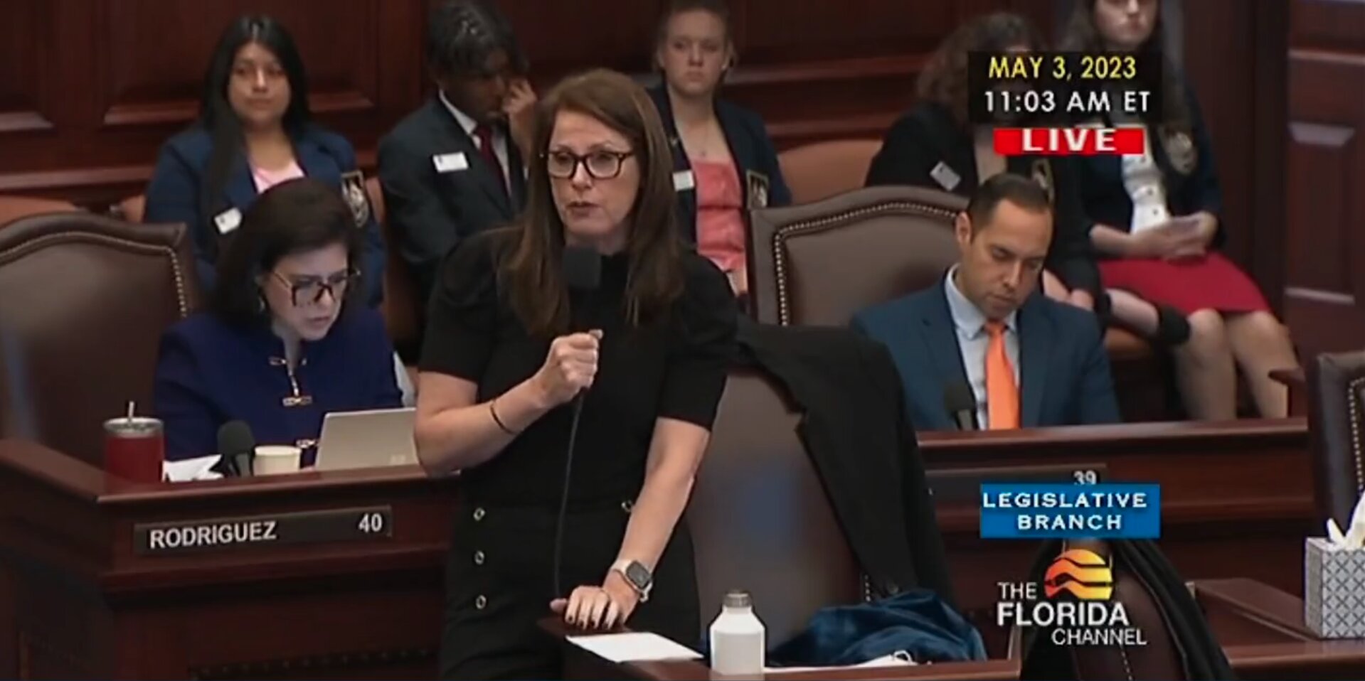 State Lawmaker Claims Parents Are Not ‘Qualified’ to Decide What Books ...