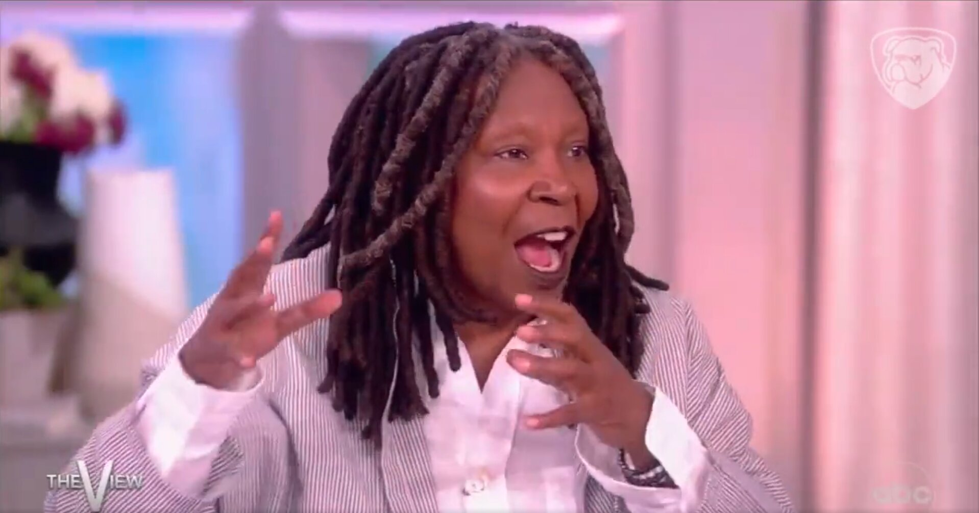 ‘The View’ Co-Host Calls for Constitutional Amendment That Could Block ...