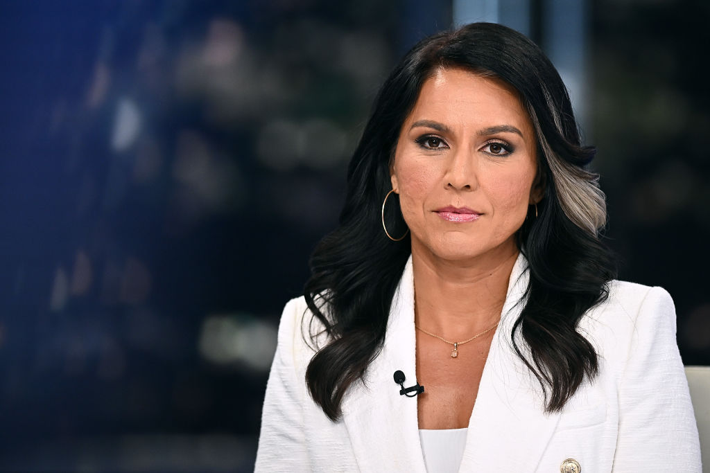 Tulsi Gabbard States a Vote for Harris Is ‘A Vote for Dick Cheney ...