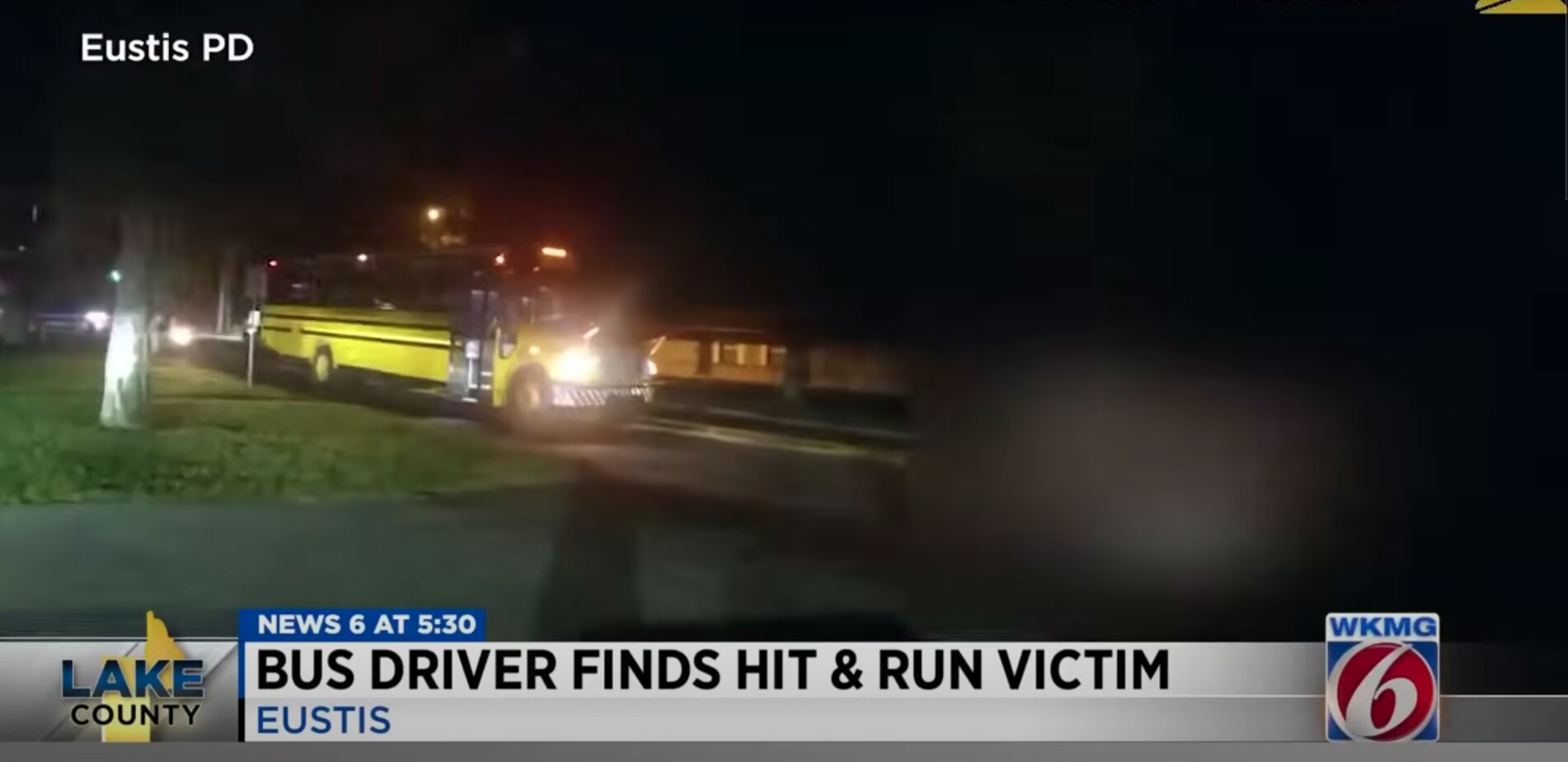 School Bus Driver Saves Hit-and-Run Victim Found Lying in the Street ...