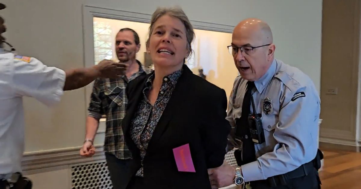 Climate Activist Who Defaced Famous Work of Art Sentenced to Prison ...