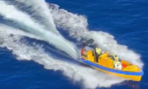 Brutal: Passenger Launches Off of World’s Largest Cruise Ship, Sealing ...