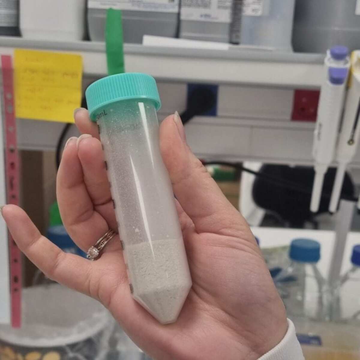 Israeli Startup Day 8 Revolutionizes Protein Extraction From Discarded ...