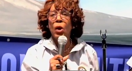 Maxine Waters Suggests Melania Trump Could Be Deported — Elon Musk ...