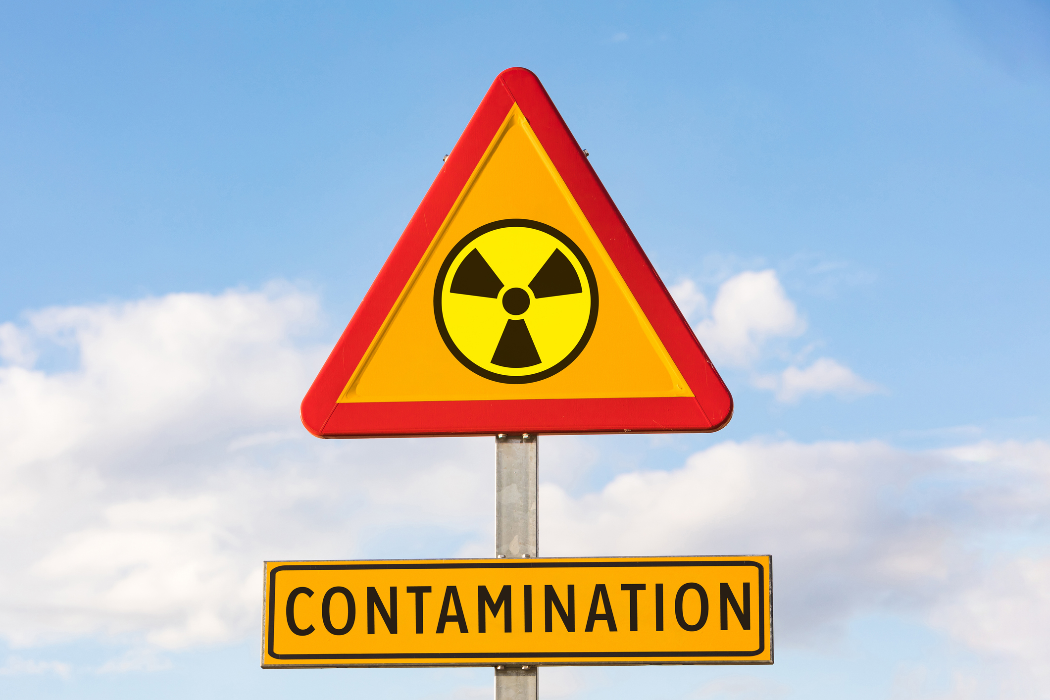 Radioactive Wasp Nest Found at Former Nuclear Bomb Manufacturing Site ...