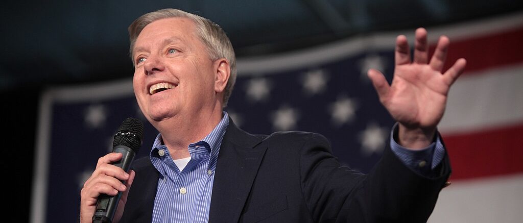 Trump-Endorsed Lindsey Graham Gets Another Primary Challenger ...