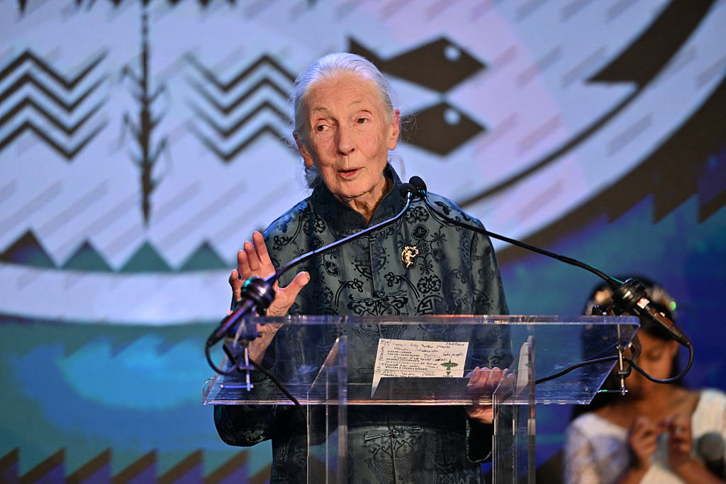 Goodall Wanted to Send Trump, Musk, Putin Into Space — Independent ...