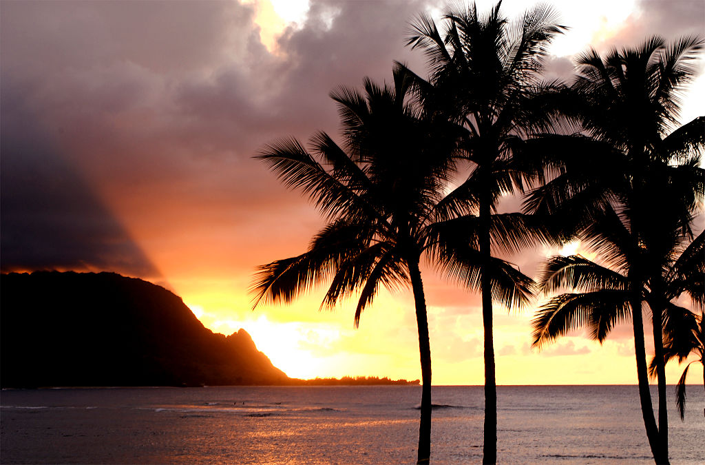 Hawaiian Beach Shut Down After Surfer Bitten by Shark in Hanalei Bay ...