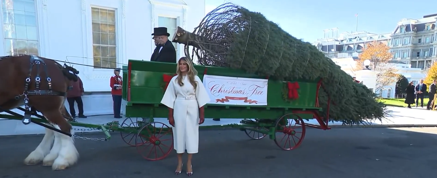 Melania Trump Welcomes White House Christmas Tree as Holiday Season ...