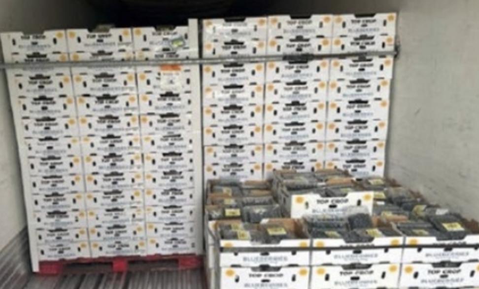 Authorities Allege Man Stole 33,000 Pounds of Frozen Snow Crab and ...